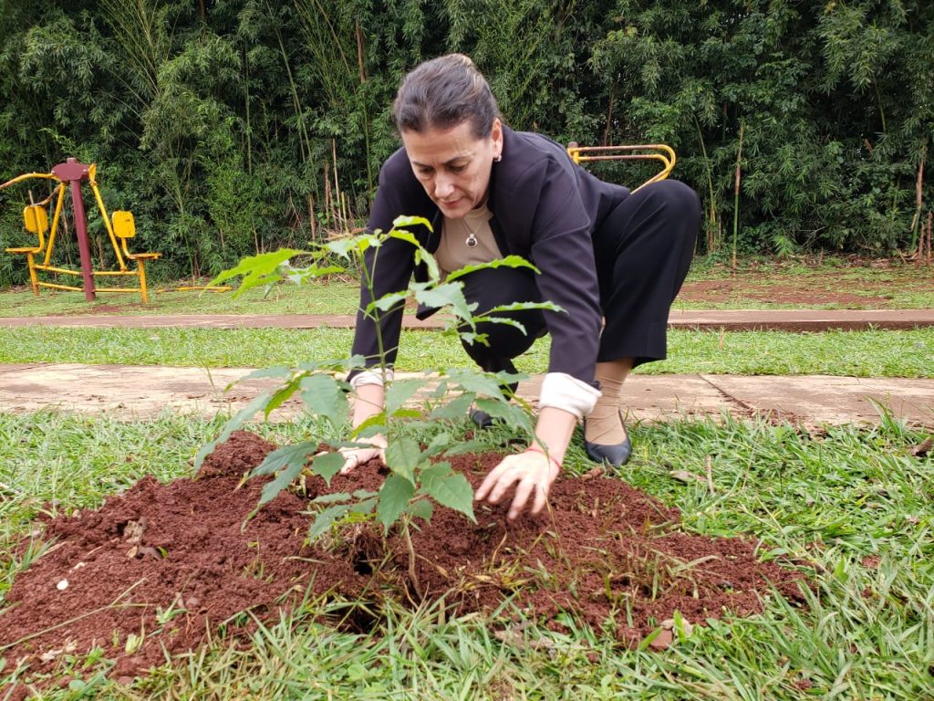 Plantaron lapachos por el día de la “Diversidad Cultural” - La Voz de ...