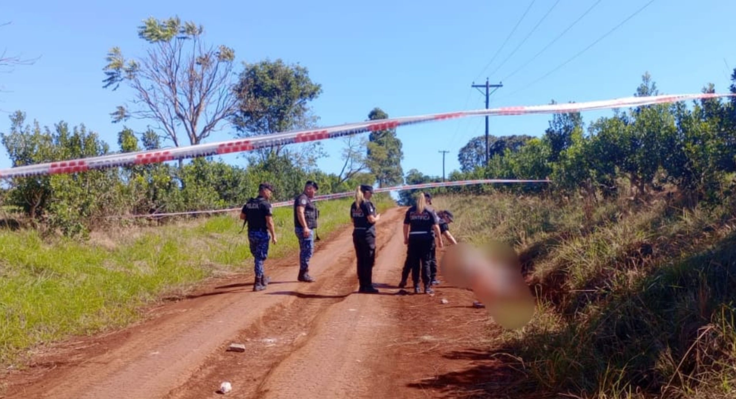 Campo Viera: Dos perros atacaron y mataron a un hombre - La Voz de ... Campo Viera: Dos perros atacaron y mataron a un hombre - La Voz de ...