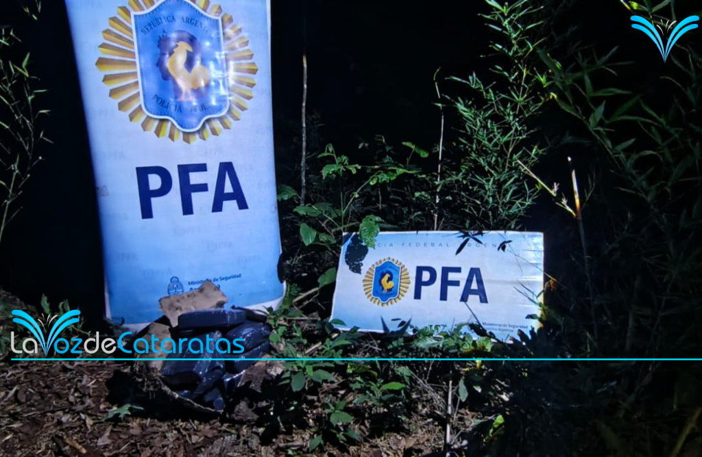 En Un Operativo La Policía Federal Secuestró Más De 10 Kilos De